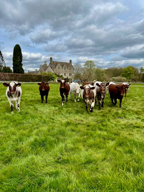 Diaries from the farm - in conversation with our Farmer Ed Horton ...